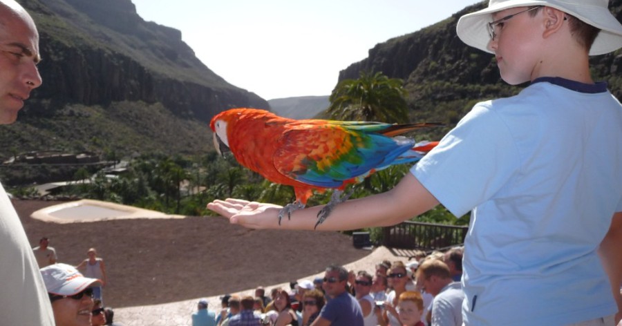 Palmitos Park - NVGC